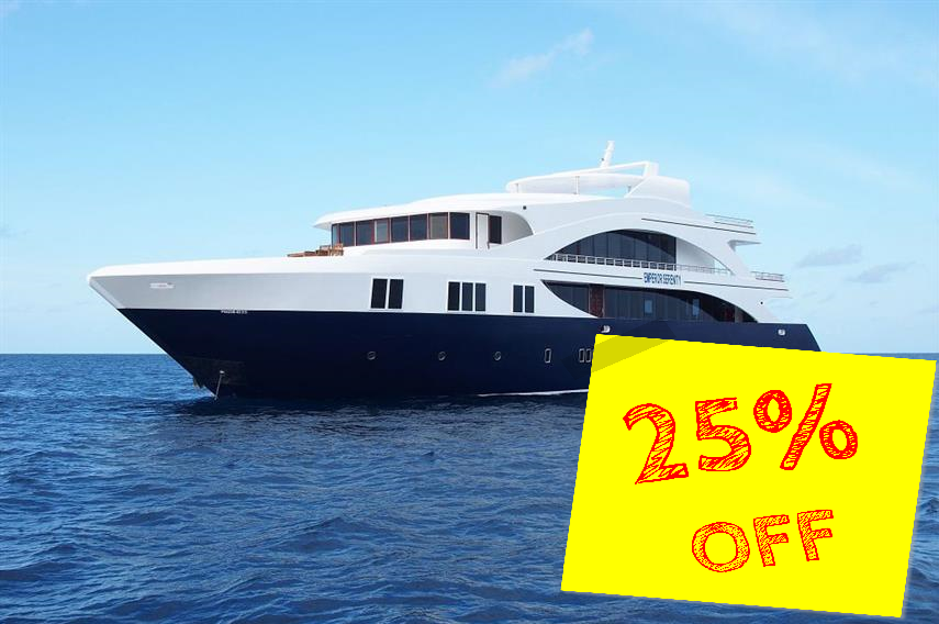 Best 25% Liveaboard Deals (Diving on a Budget) – Scuba Diving Earth