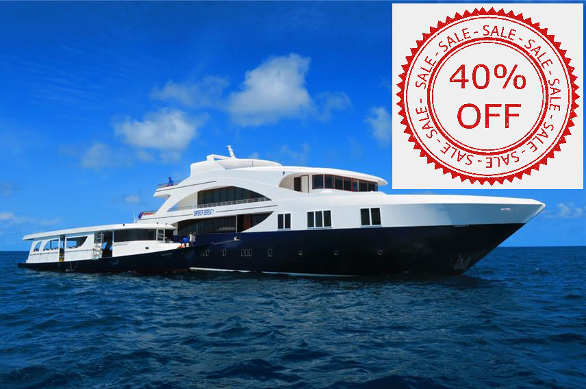 Best 40% Liveaboard Deals (Diving on a Budget) – Scuba Diving Earth