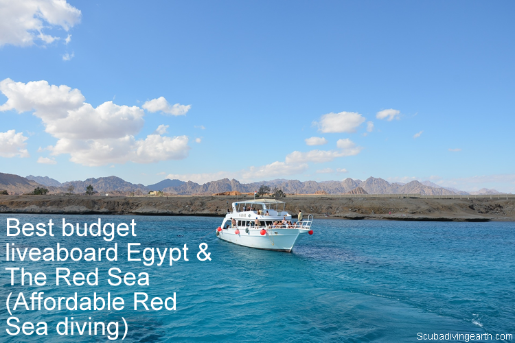 Best budget liveaboards Egypt & The Red Sea (Affordable Red Sea diving ...