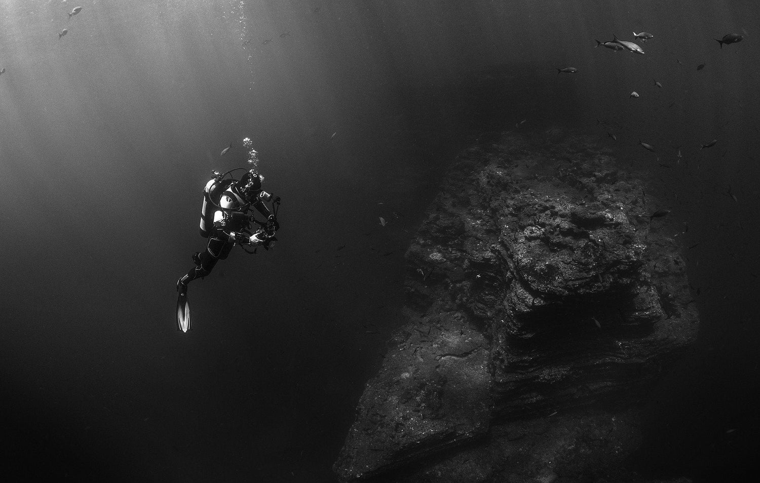Can You Dive 50 Meters? – Scuba Diving Earth