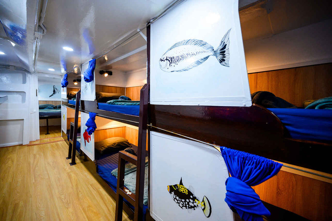 Dive Liveaboards With 6-Bed Dormatory Style Cabins With Shared Bathroo ...