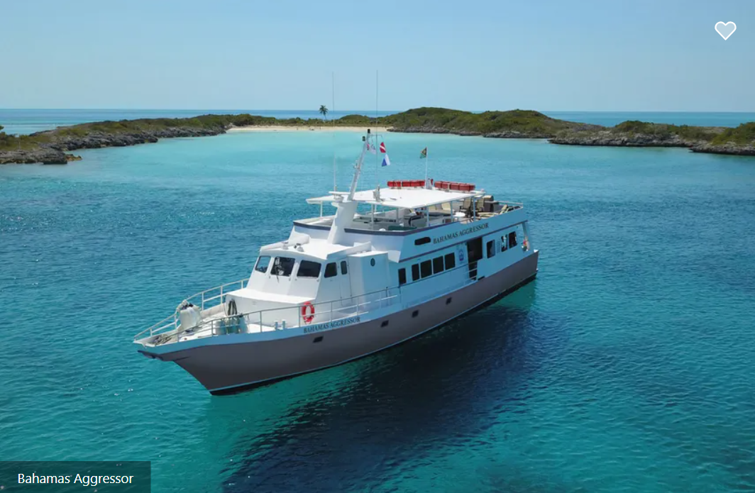 Tiger Beach Liveaboard Diving – Epic Shark Encounters – Scuba Diving Earth